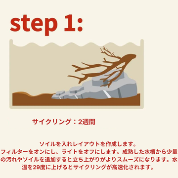 APT Feastを使って水槽の立ち上げを簡単に
